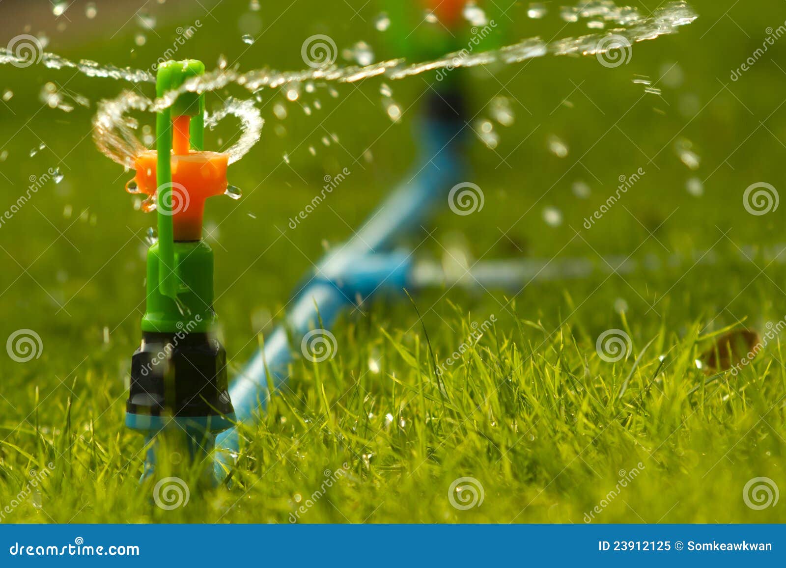 Sprinkle stock image. Image of relaxation, relax, grass - 23912125