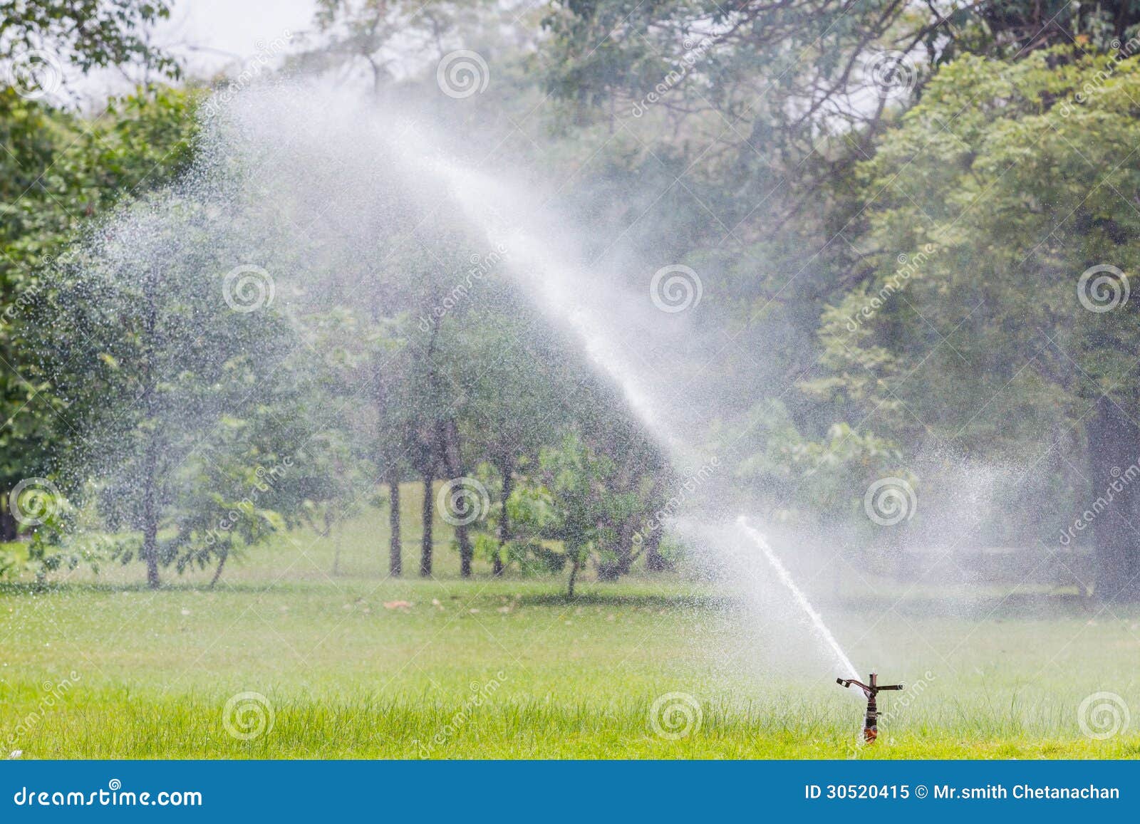 Sprinkle stock image. Image of garden, flow, shower, agriculture - 30520415