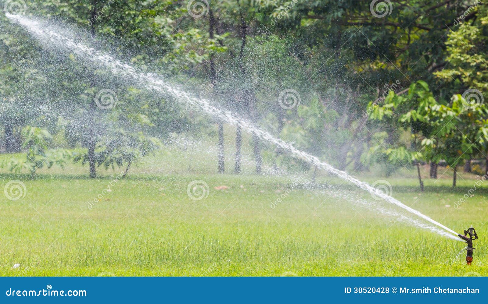 Sprinkle stock photo. Image of maintenance, equipment - 30520428