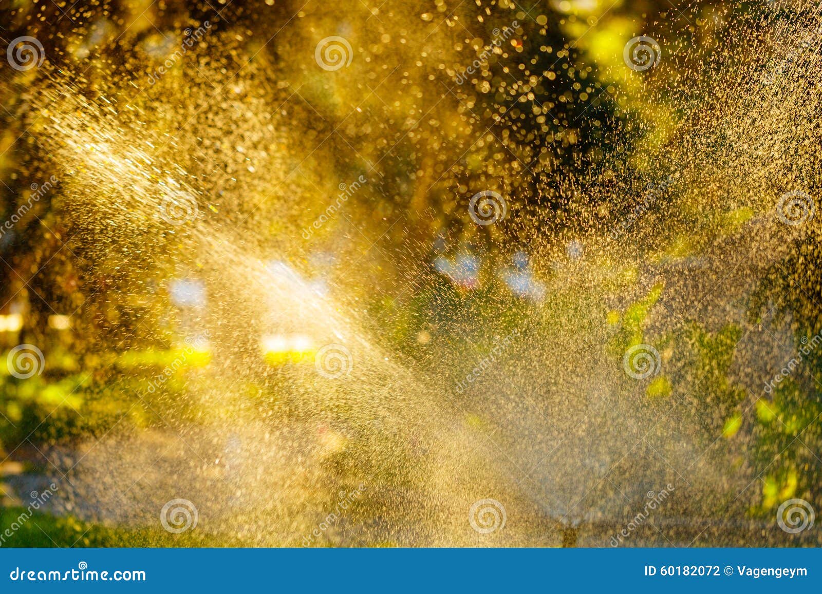 Sprinkle in the Park. Water Drops on the Plants. Stock Photo - Image of ...