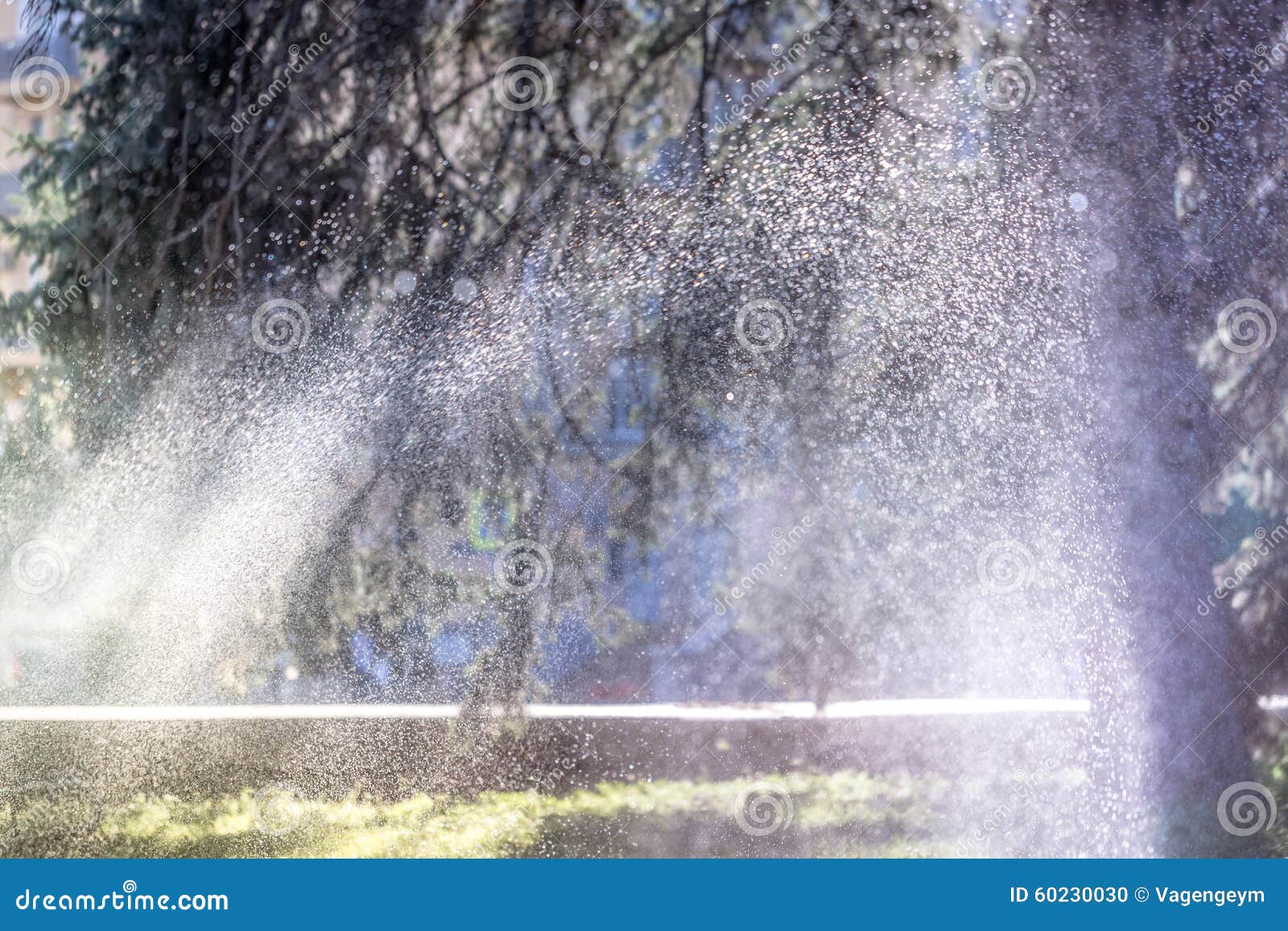 Sprinkle in the Park. Water Drops on the Plants. Stock Photo - Image of ...