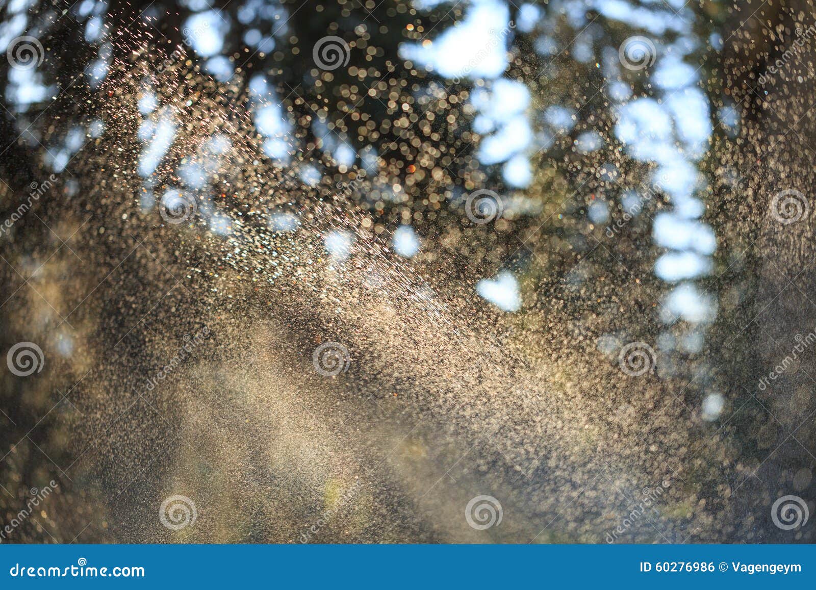 Sprinkle in the Park. Water Drops on the Plants. Stock Photo - Image of ...