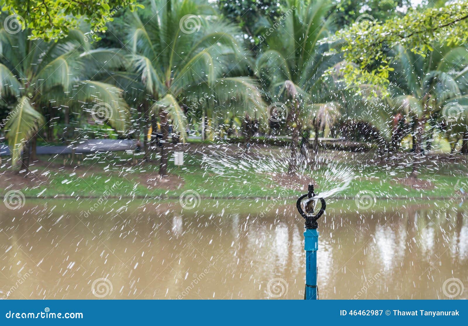 Sprinkle stock image. Image of fresh, plant, green, agriculture - 46462987