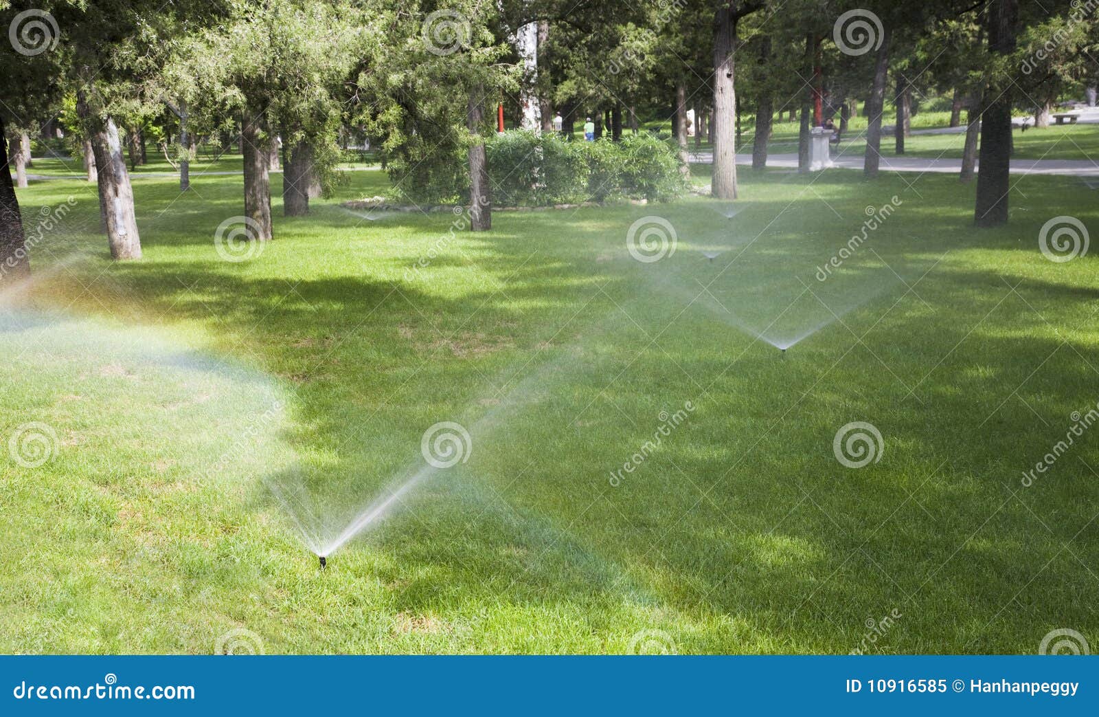 Sprinkle water stock image. Image of gardening, agriculture - 10916585