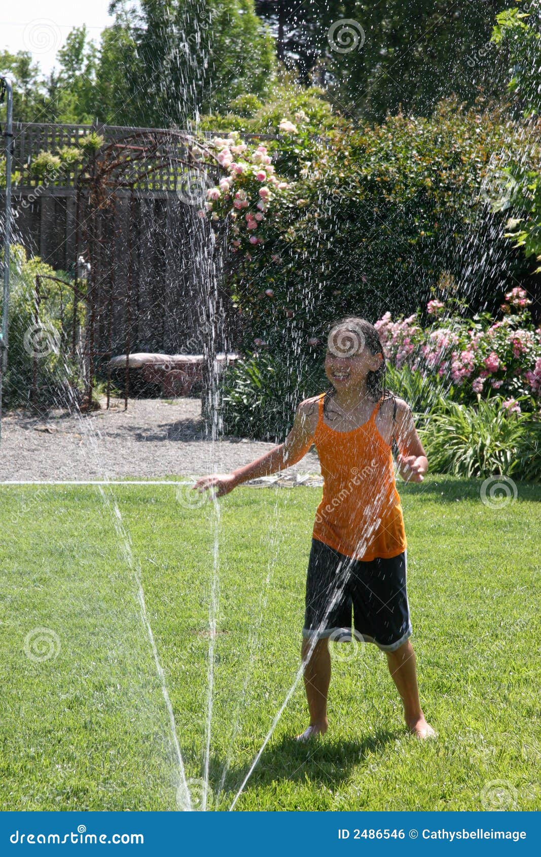Sprinkler fun stock photo. Image of backyard, drenched - 2486546