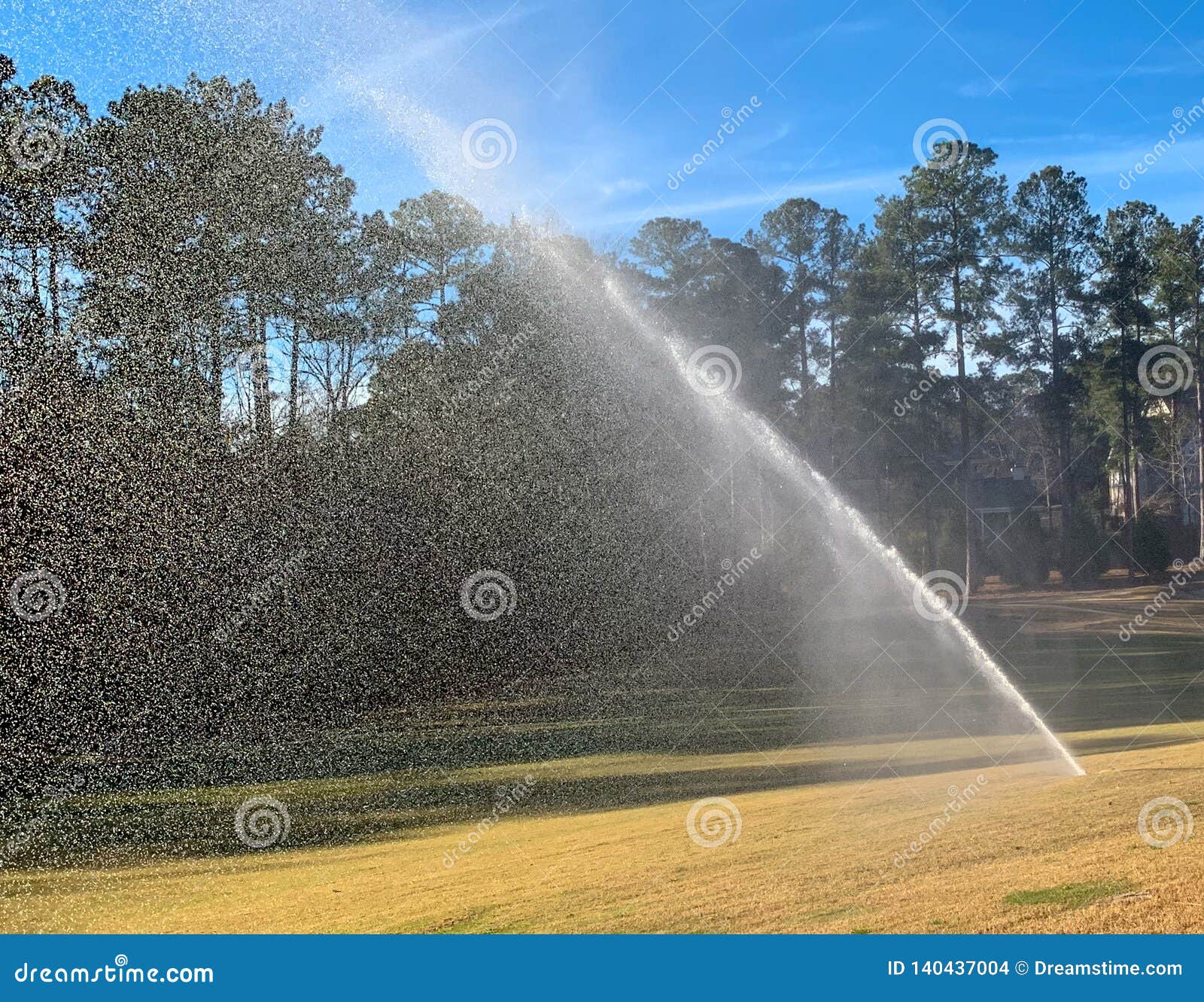 Sprinkler on the Golf Course with Rainbow Stock Photo - Image of water ...