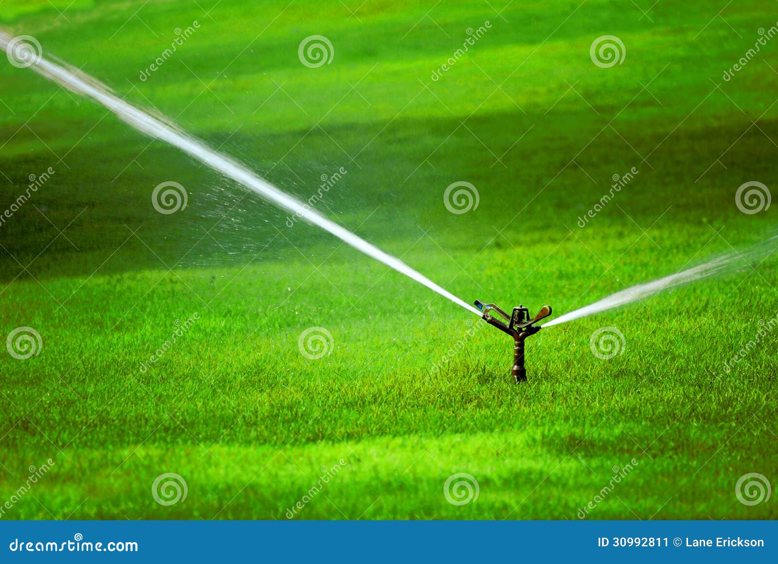 Sprinkler on Grass stock image. Image of velvety, shower - 30992811