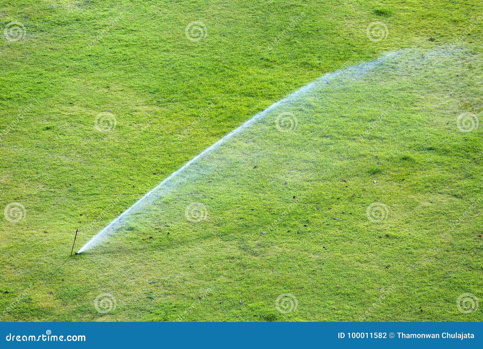 Sprinkler grass stock photo. Image of irrigation, sprinkler - 100011582