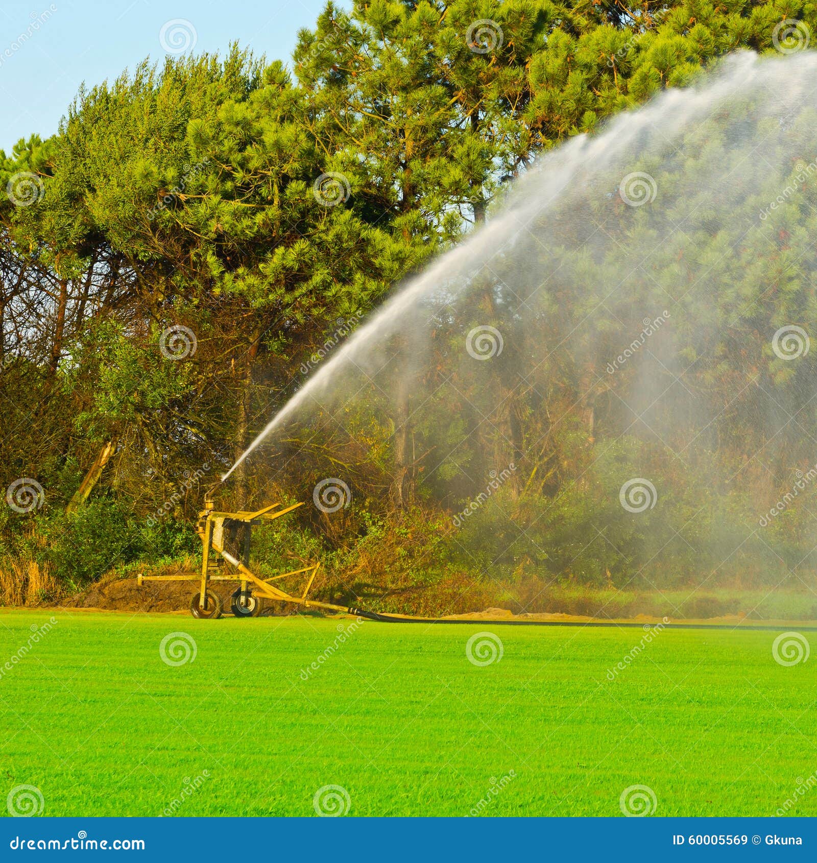 Sprinkler stock image. Image of earth, portugal, ground - 60005569