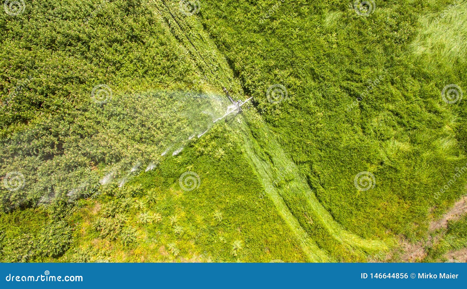 Sprinkler Irrigation Seen from Above with Drone Stock Photo - Image of ...