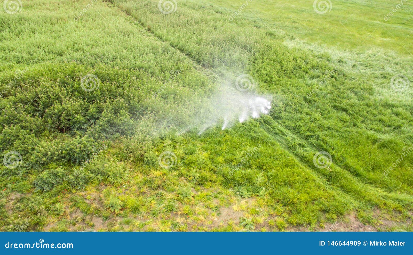 Sprinkler Irrigation Seen from Above with Drone Stock Image - Image of ...