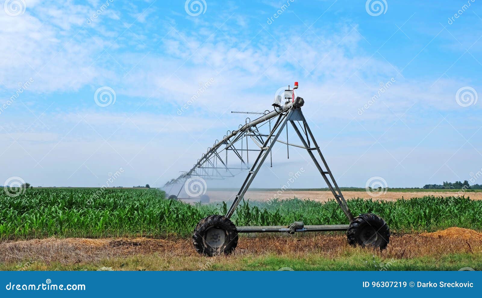 Modern Sprinkler Working On Grass Irrigation. Multiple Sprinkler System ...