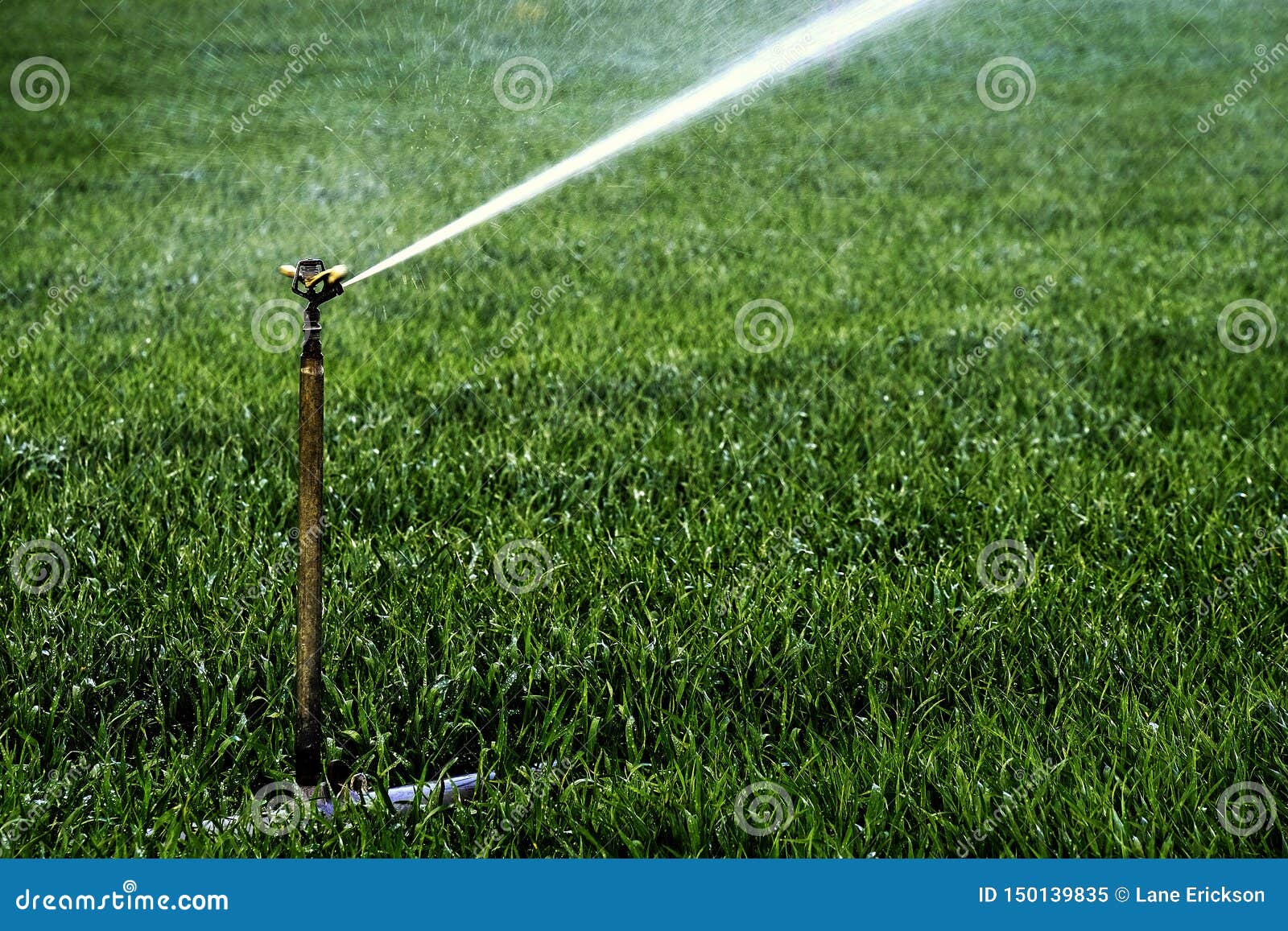 Sprinkler Irrigation System Spraying Water on Field Stock Image - Image ...