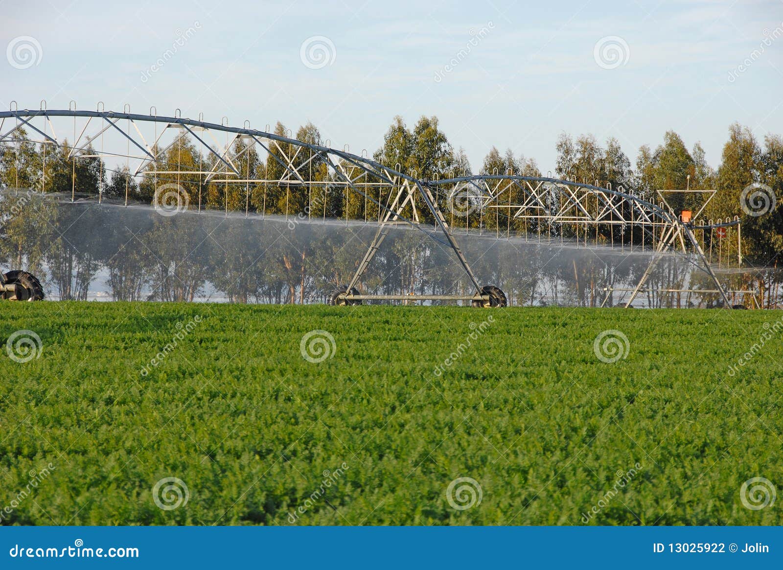 Sprinkler Irrigation for Watering Cultivated Field Stock Photo - Image ...