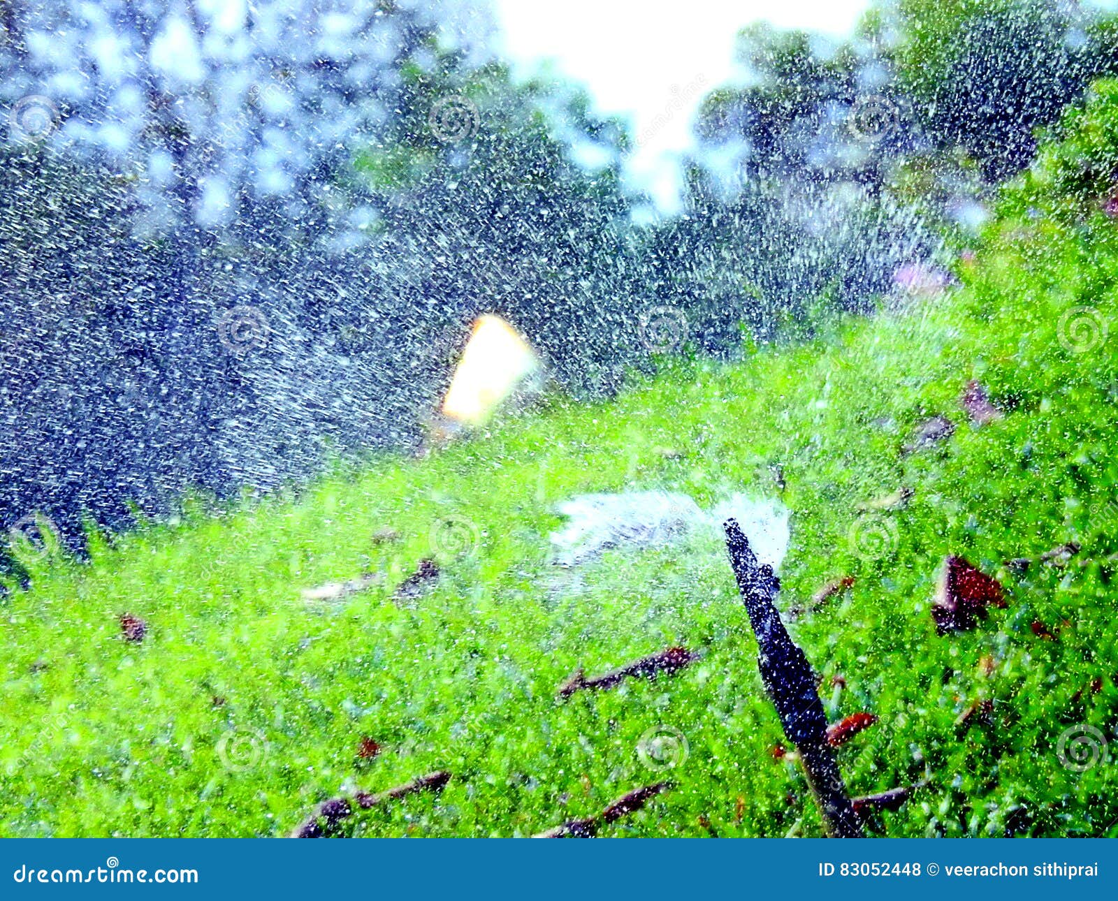 Sprinkler splashing water. stock photo. Image of field - 83052448
