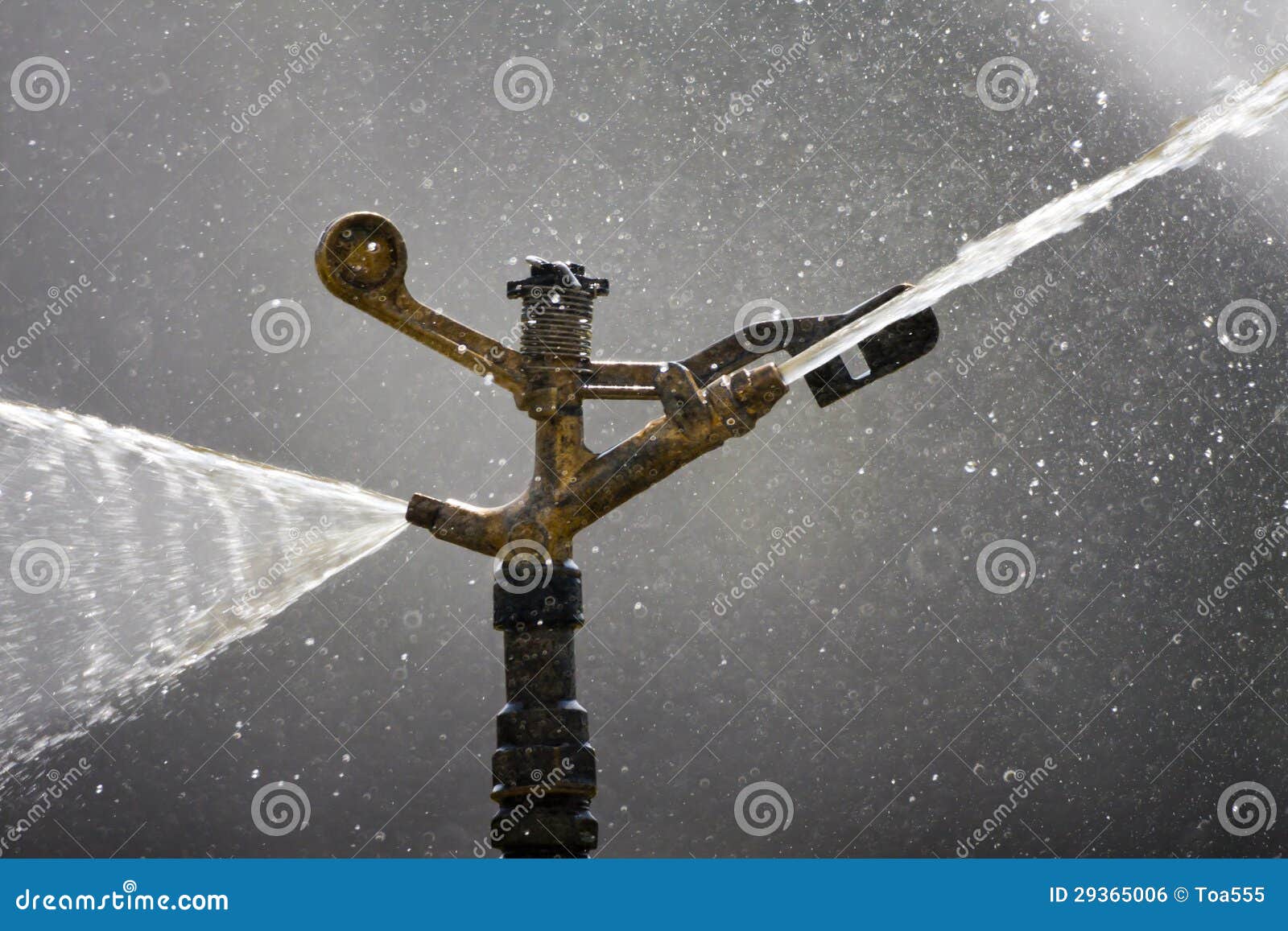 Sprinkler spraying water stock photo. Image of droplet - 29365006
