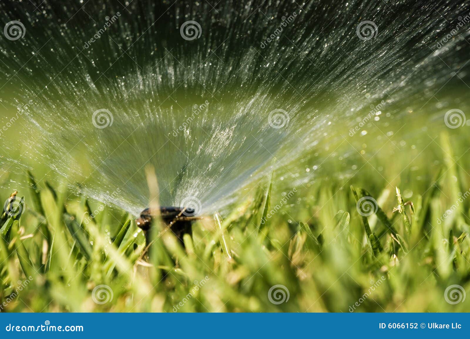 Sprinkler spraying water stock photo. Image of semicircle - 6066152