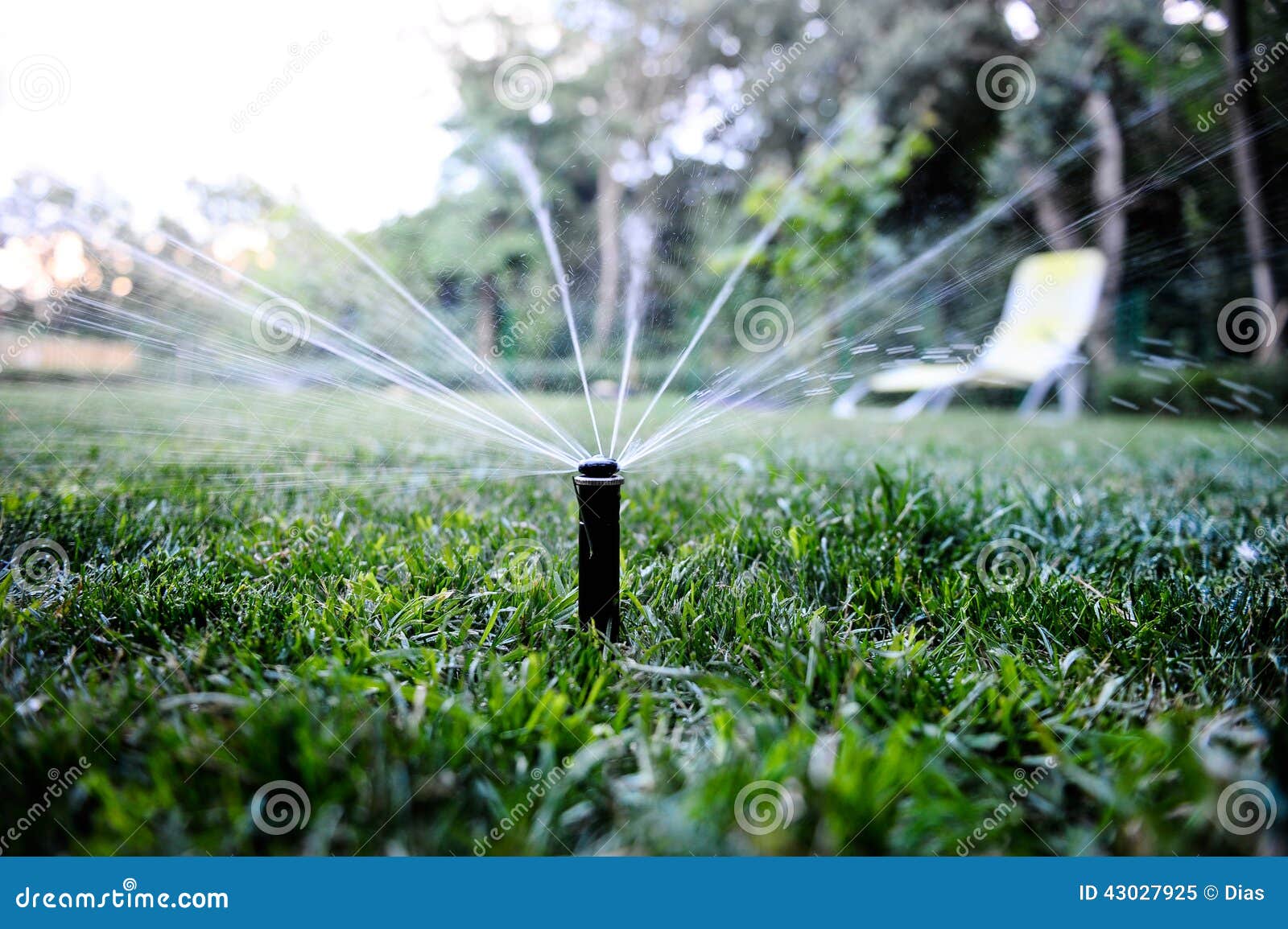 Sprinkler Spraying Water Stock Photography | CartoonDealer.com #44134916