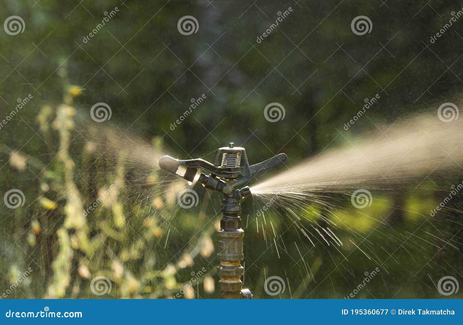 Sprinkler spraying water. stock image. Image of hose - 195360677