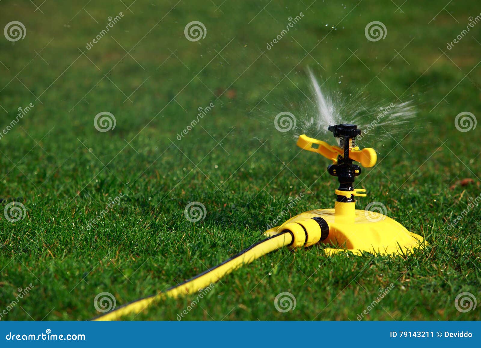 Sprinkler spraying water stock image. Image of open, flush - 79143211