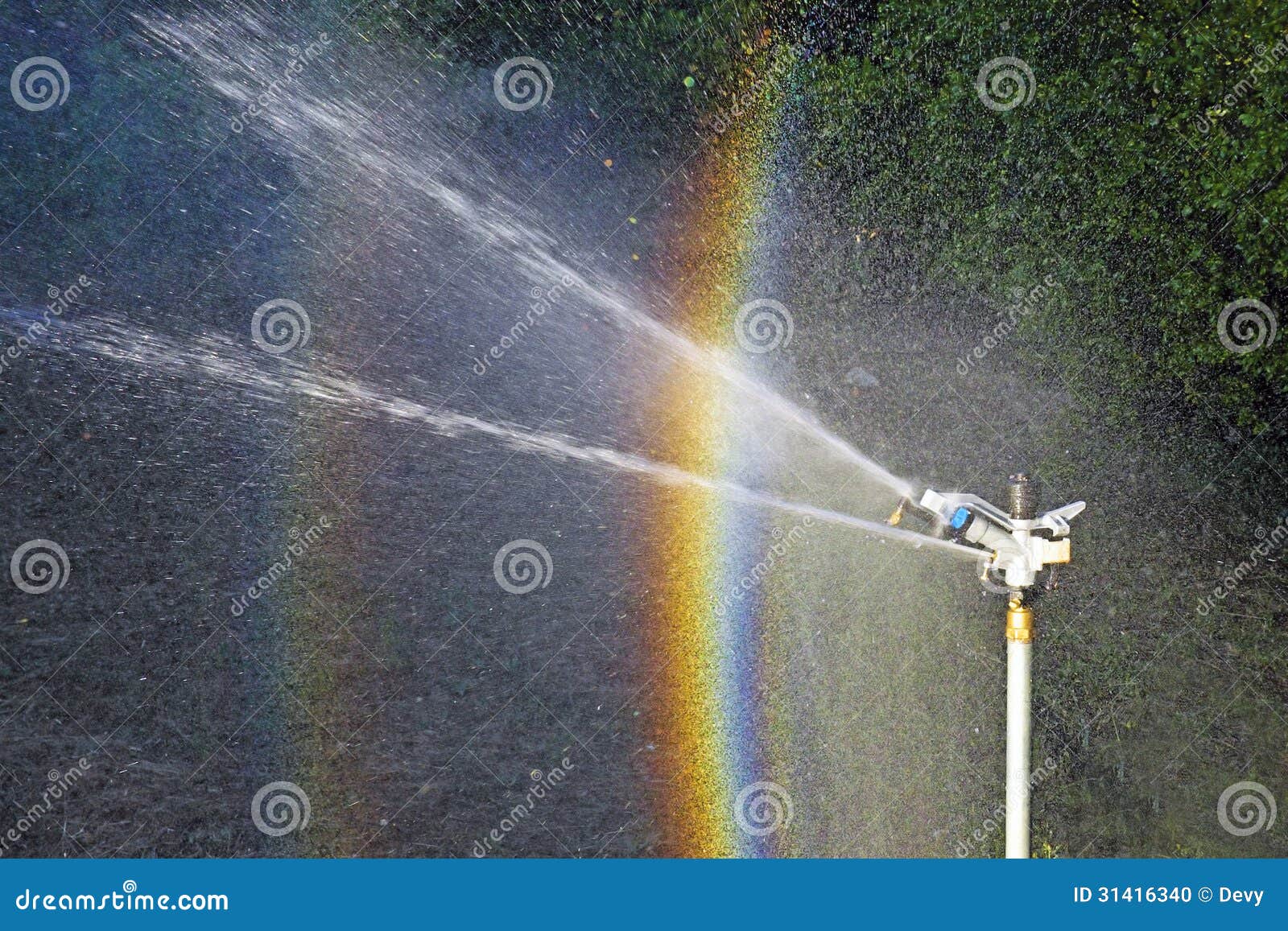 Sprinkler spraying water stock photo. Image of landscape - 31416340