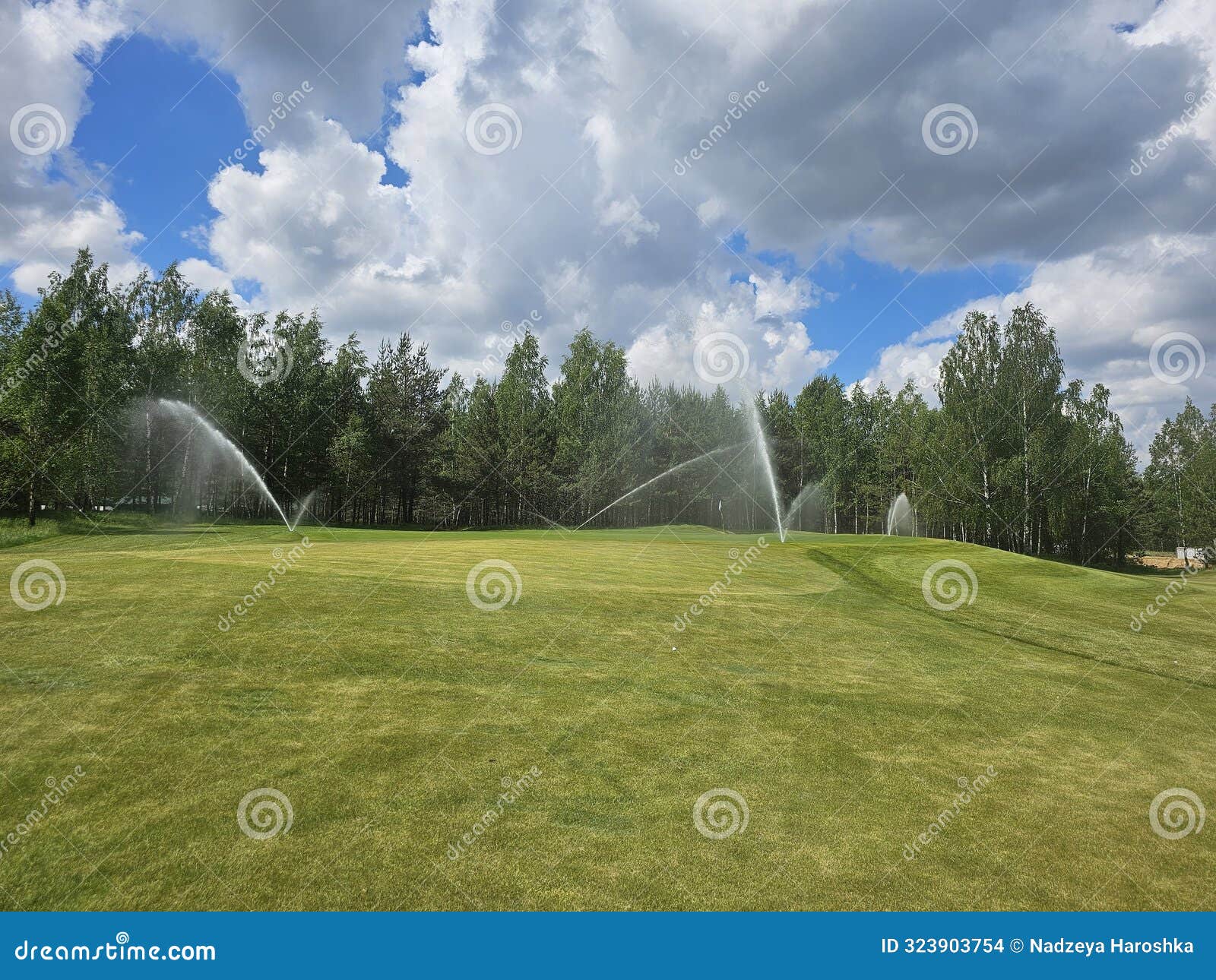Sprinkler System Watering Golf Course Green Stock Photo - Image of ...