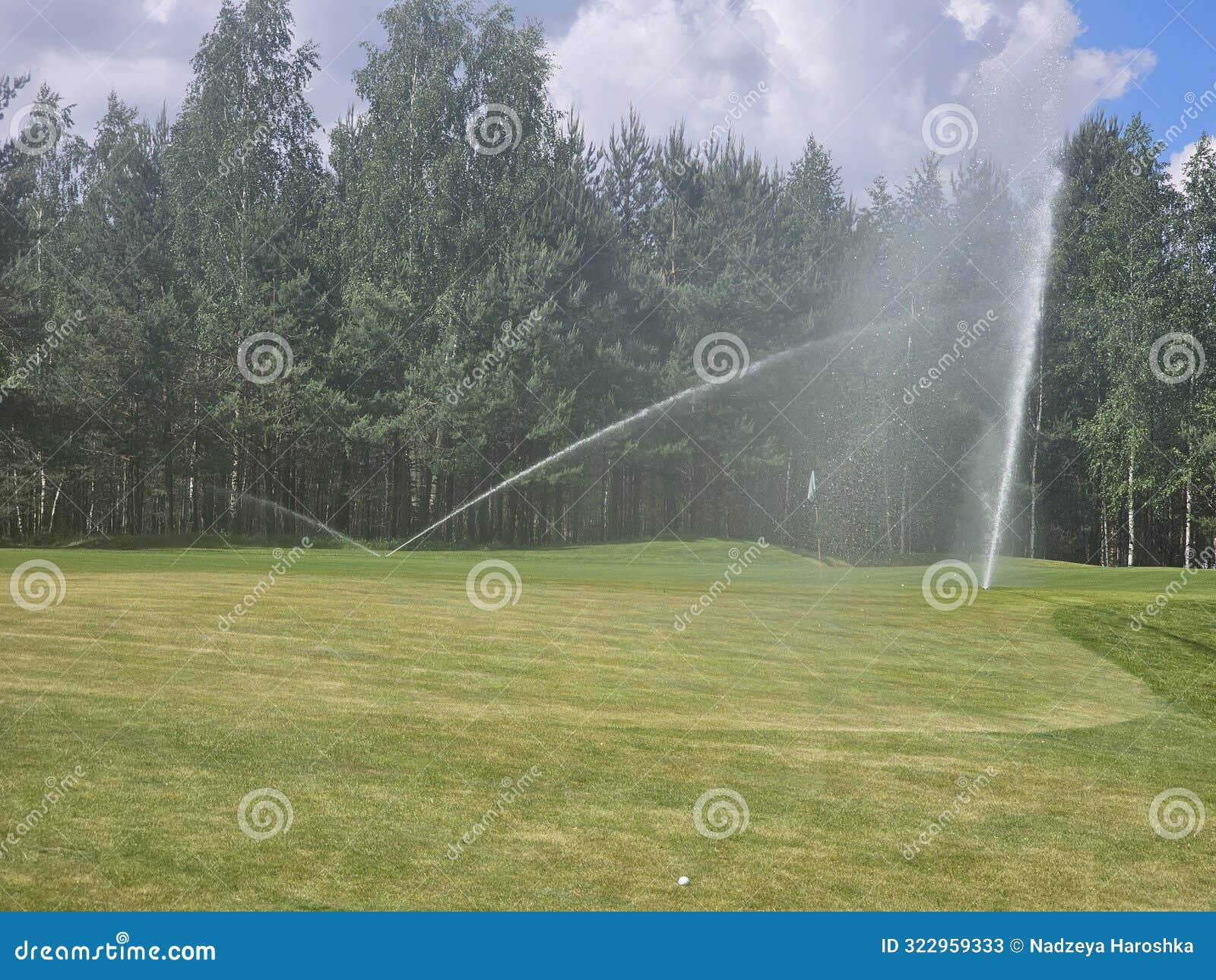 Sprinkler System Watering the Green Grass on a Golf Course in the ...