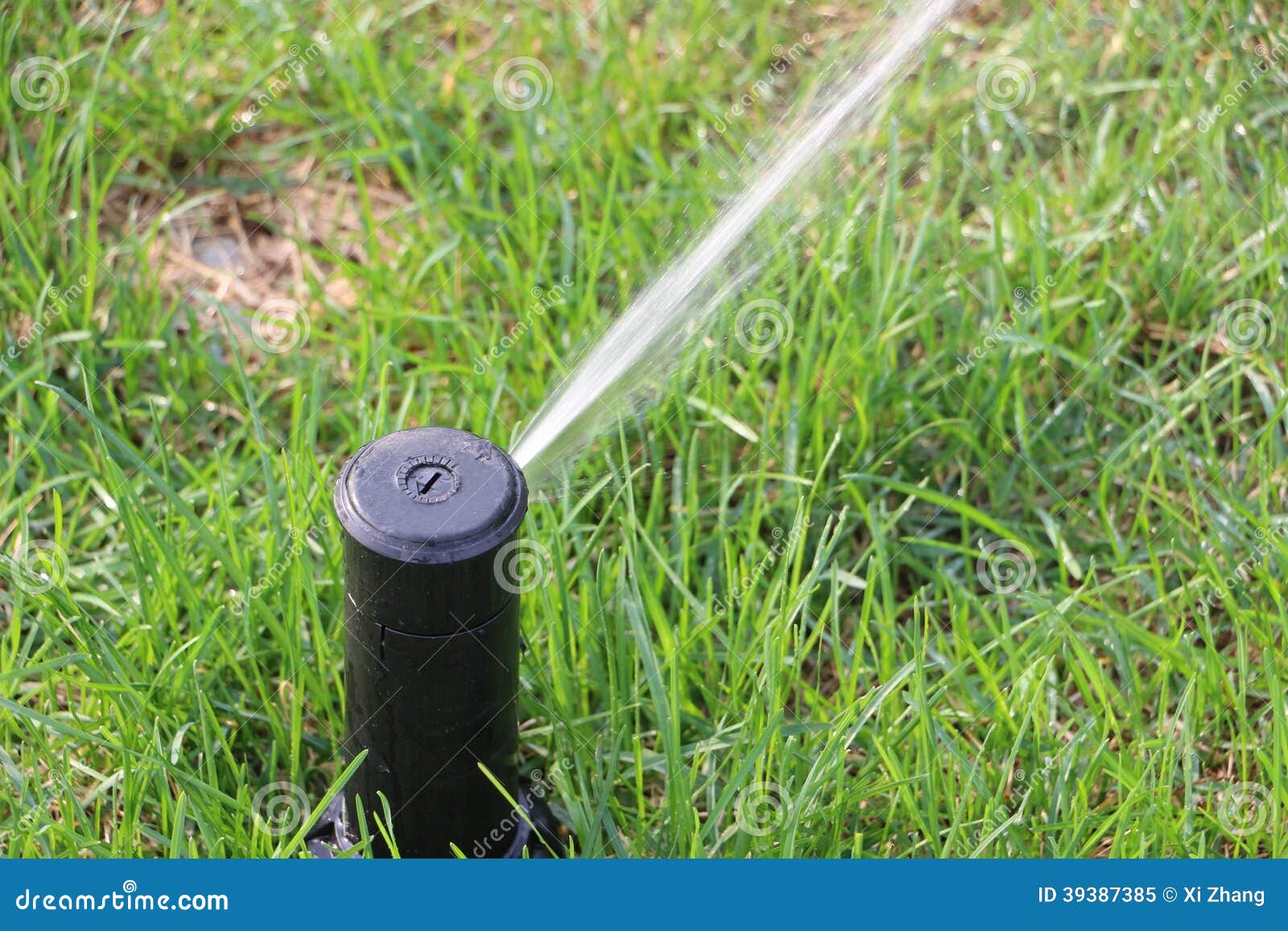 Sprinkler stock image. Image of plant, view, head, sprinkler - 39387385