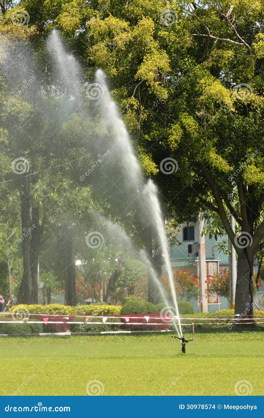 Sprinkler Was in the Lawn Water Injection. Stock Photo - Image of ...
