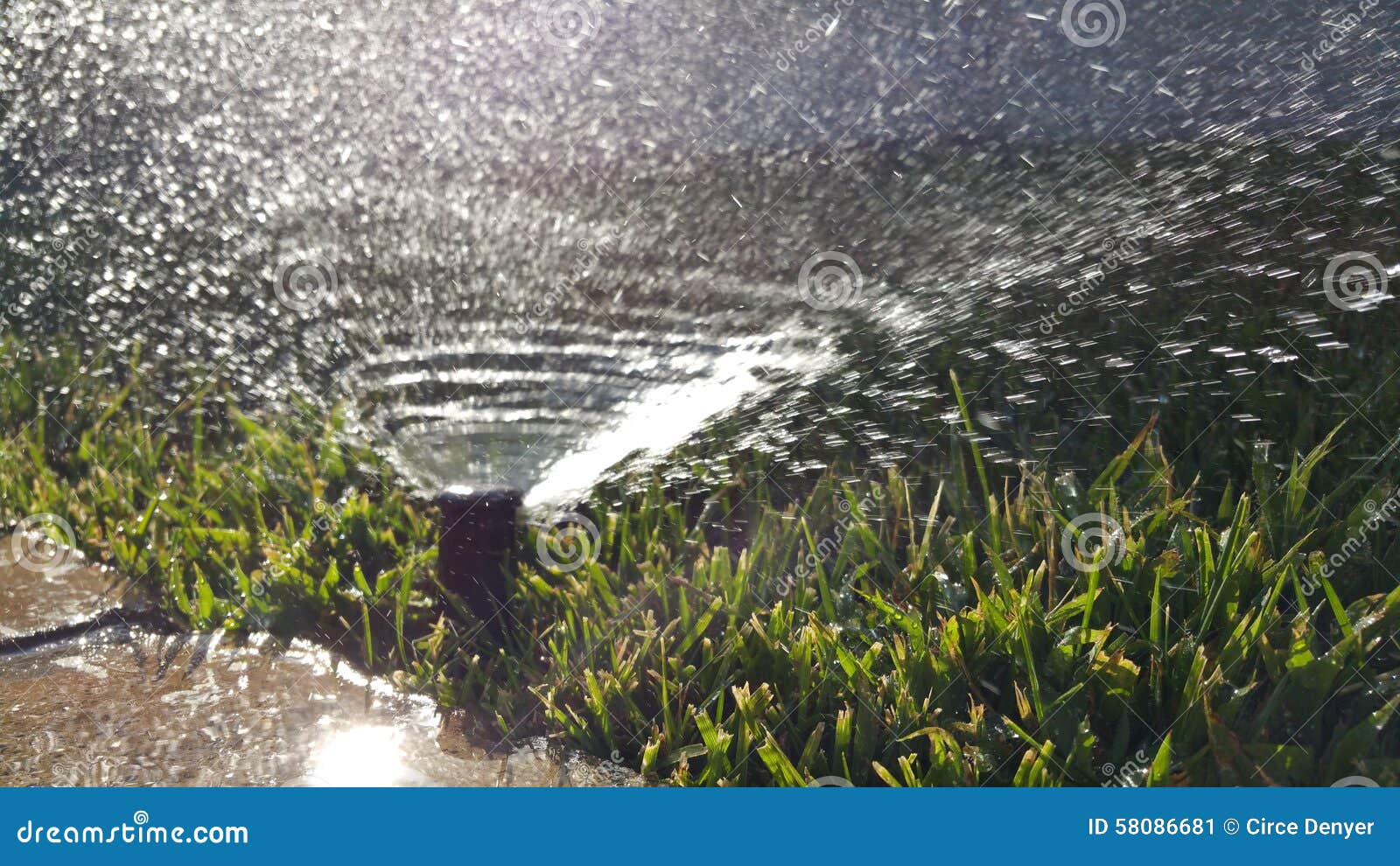 Dry Riser Sprinkler Valve Inlet Red Box Stock Photography ...