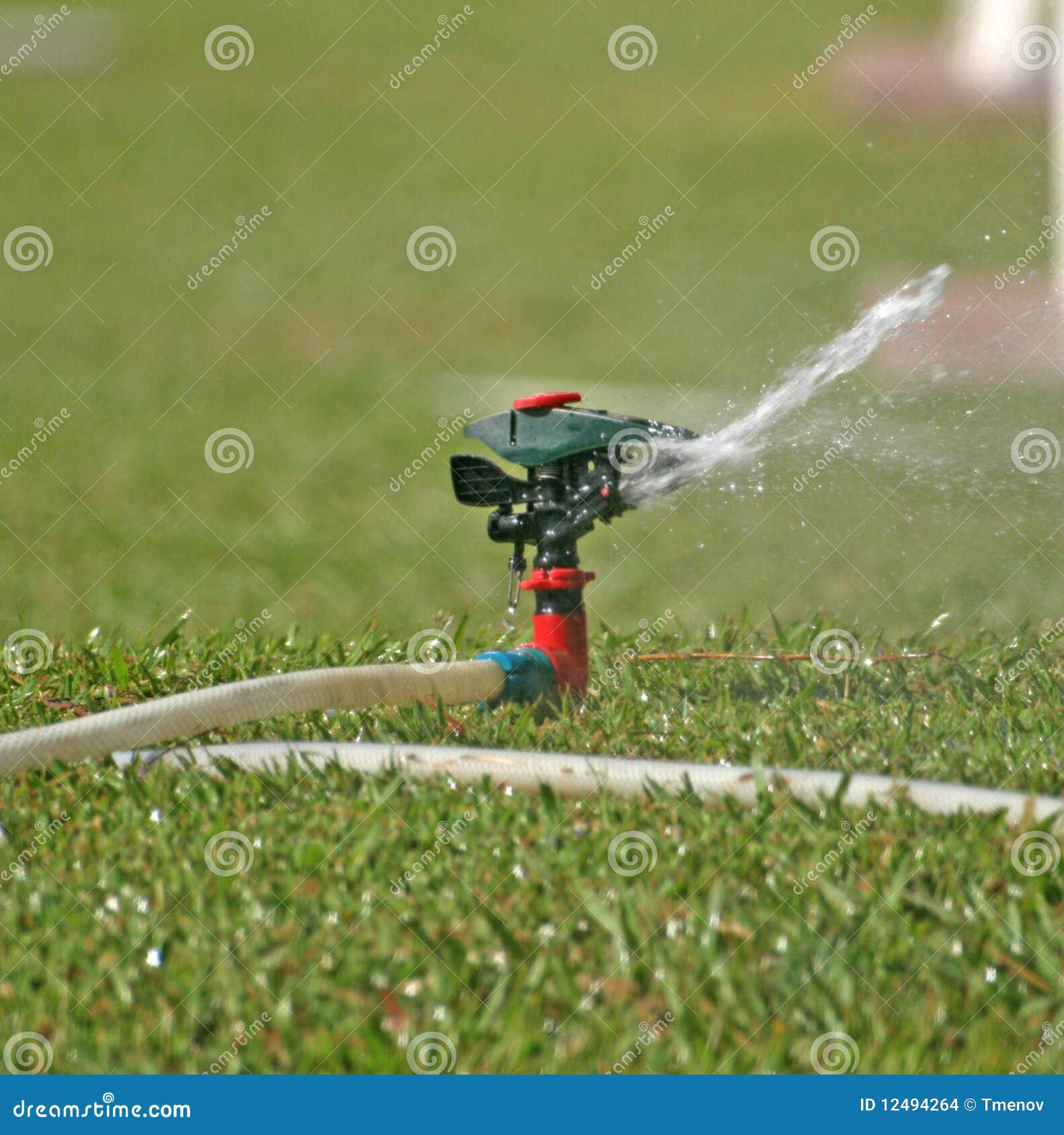 Sprinkler watering stock photo. Image of agriculture - 12494264