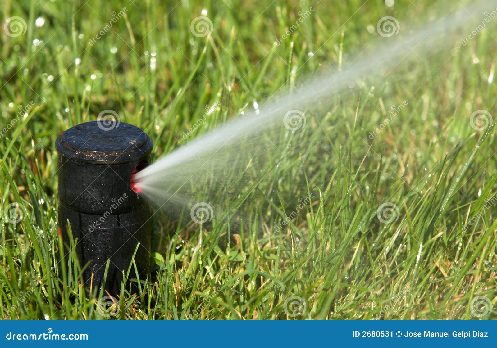 Sprinkler watering stock image. Image of field, irrigating - 2680531