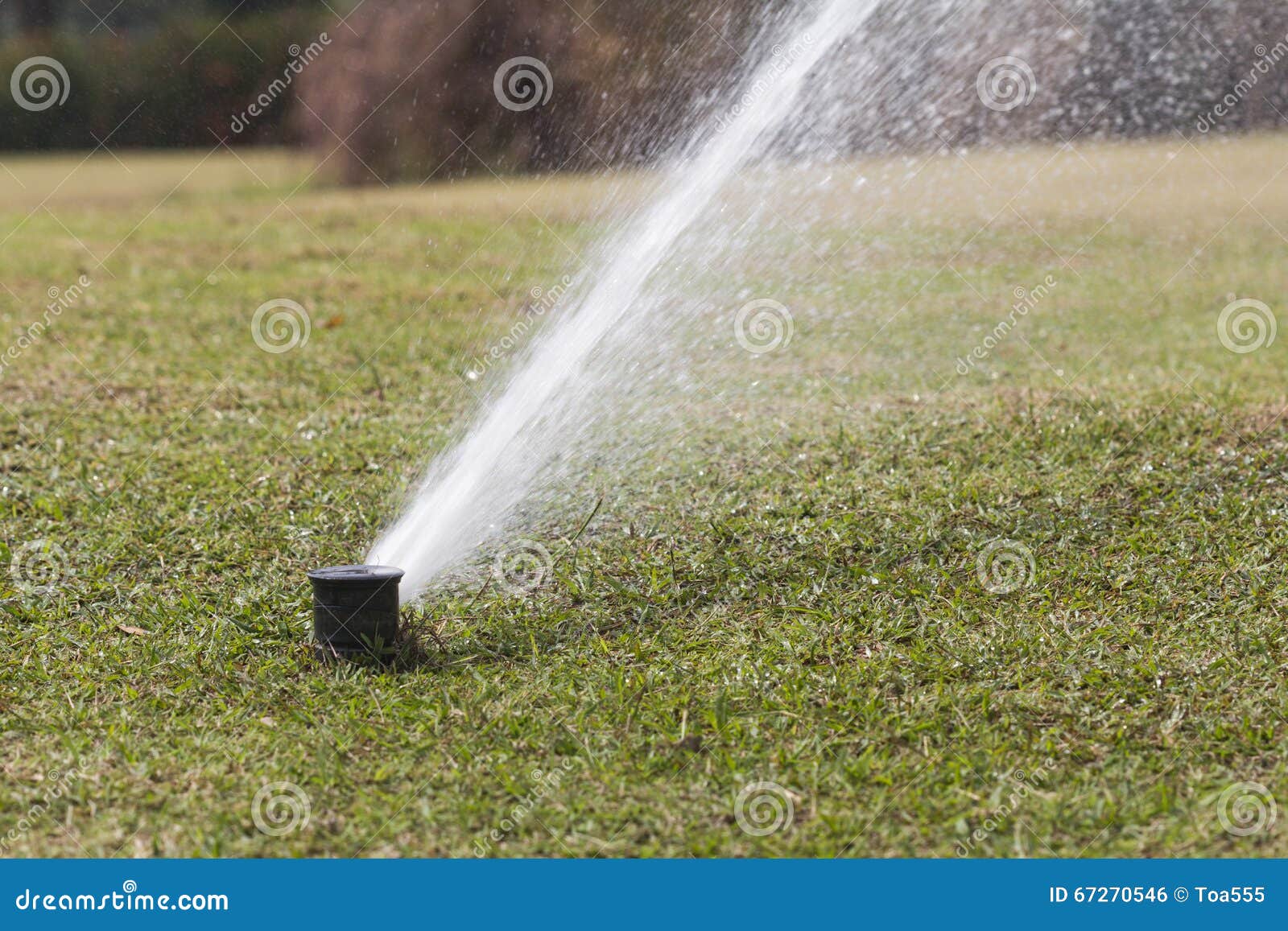 Sprinkler Watering in Golf Course Stock Photo - Image of garden, golf ...