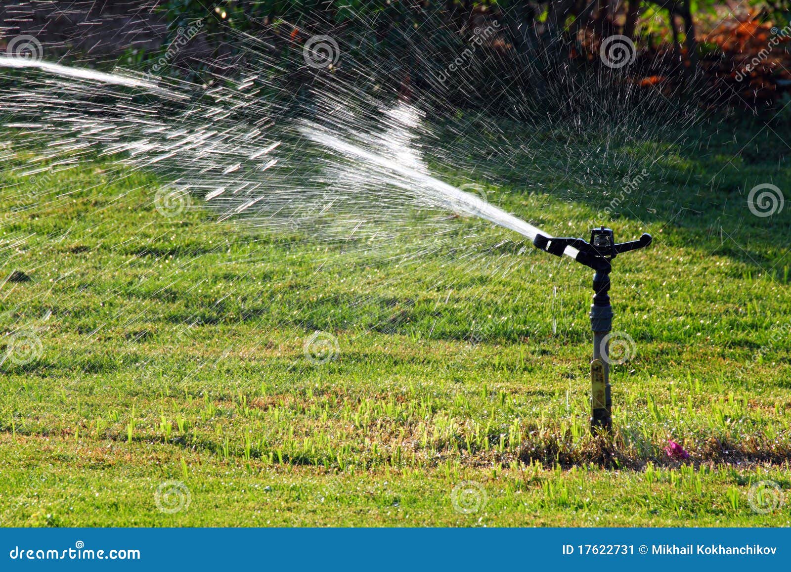 Sprinkler Watering Green Lawn Stock Image - Image of cultivated ...