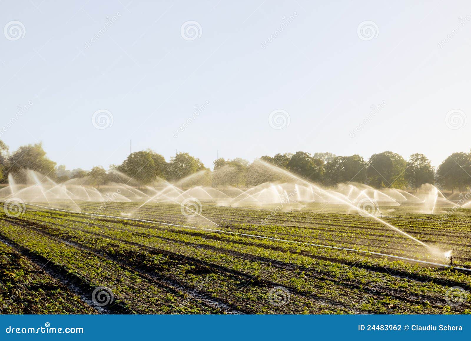 Sprinkler at work stock photo. Image of water, equipment - 24483962