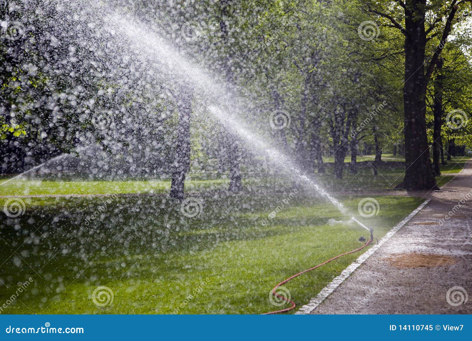 Sprinklers in park stock image. Image of spray, fine - 14110745