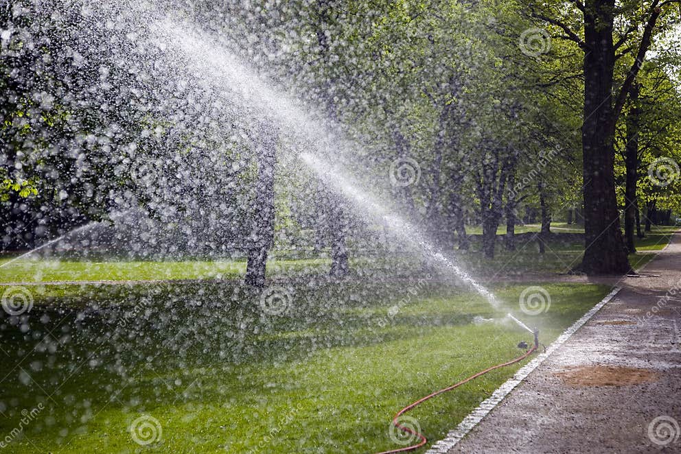 Sprinklers in park stock image. Image of spray, fine - 14110745