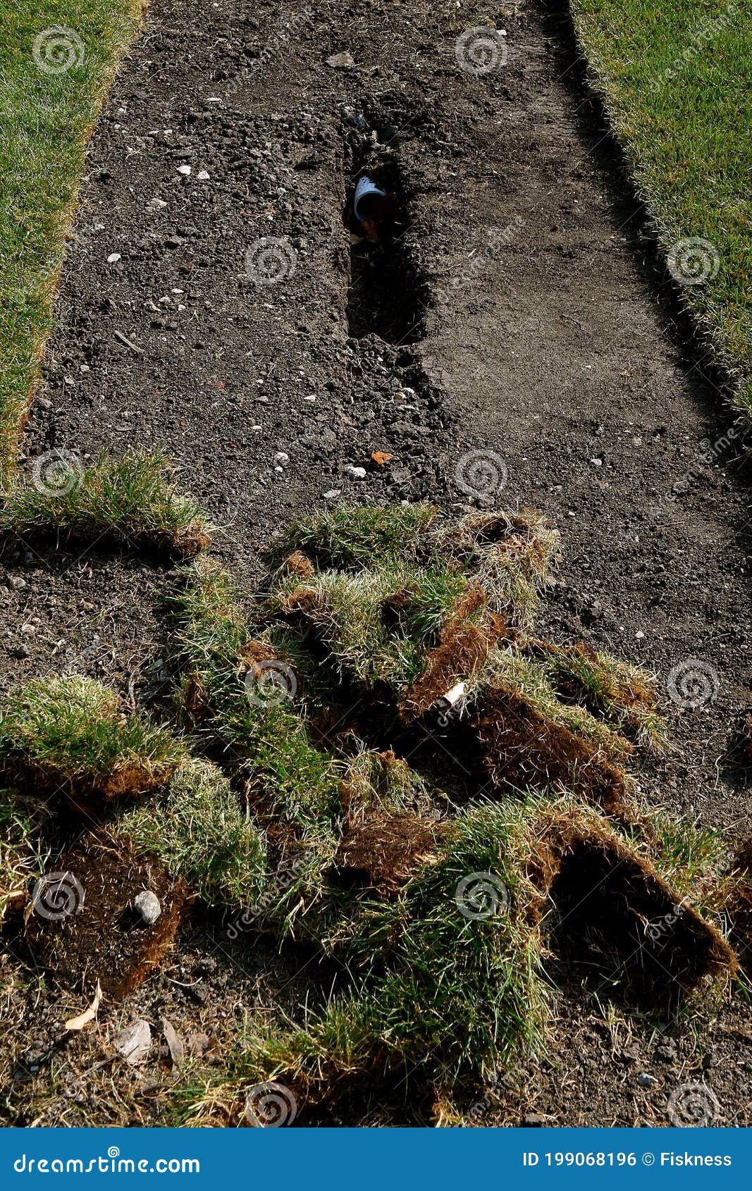 Sodded Area Stock Photos - Free & Royalty-Free Stock Photos from Dreamstime