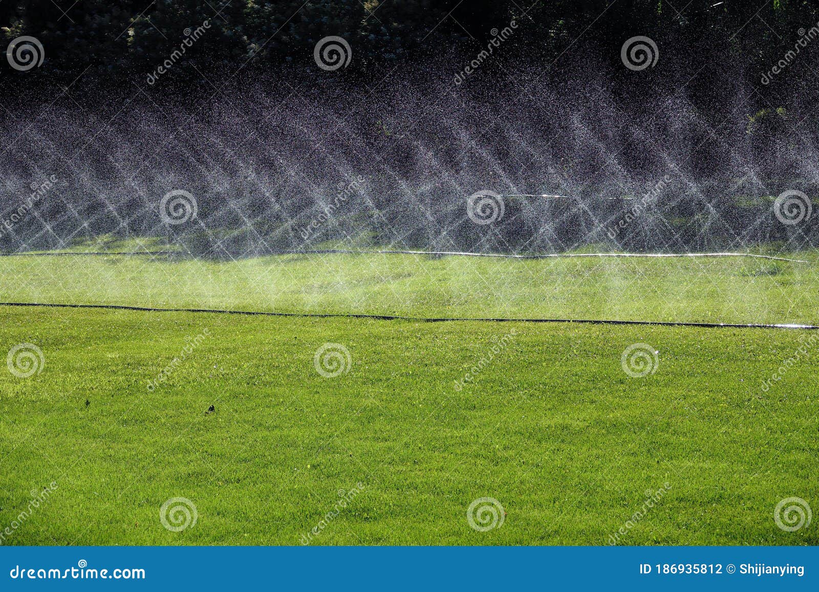 Sprinkling irrigation stock photo. Image of spray, scenic - 186935812