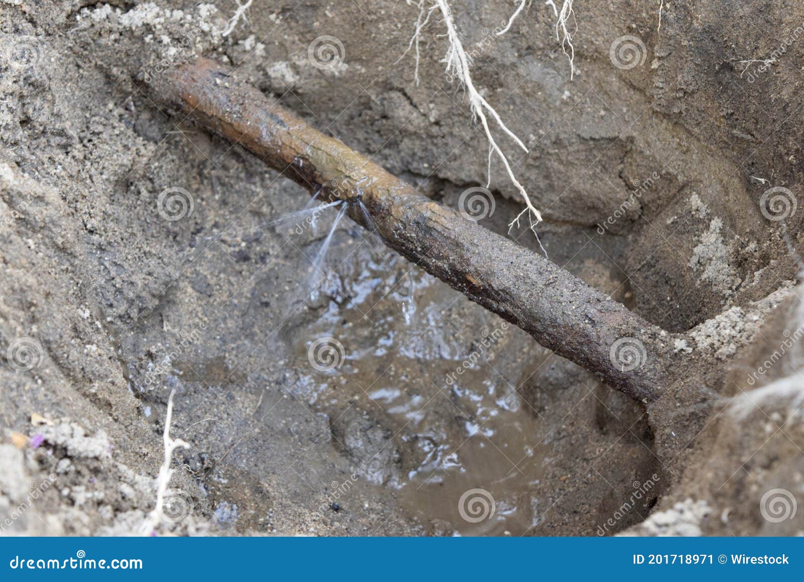Sprinkling Out of a Muddy Pipe Going through the Ground in a Ditch ...