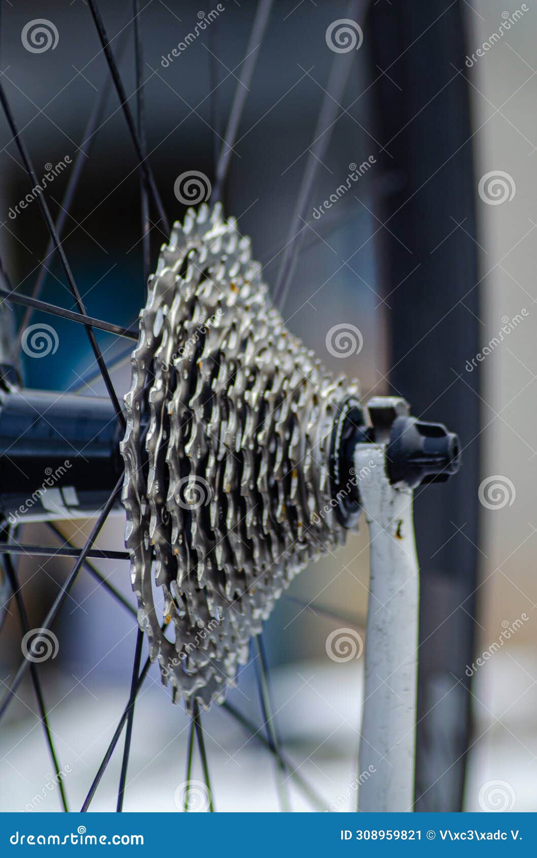 Sprockets of a Bicycle, Advanced Bicycle Gearing System of a Road ...
