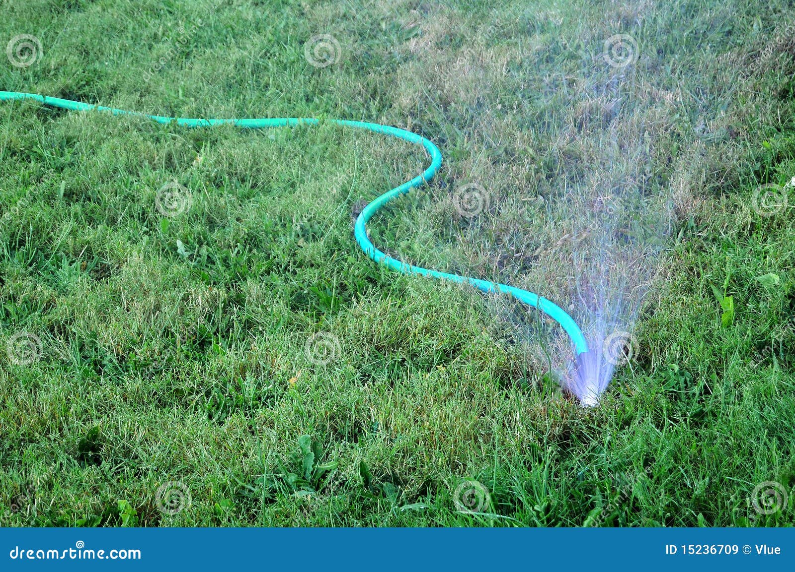 Sproeier Die Het Gazon Van Het Gras Water Geeft Stock Afbeelding ...