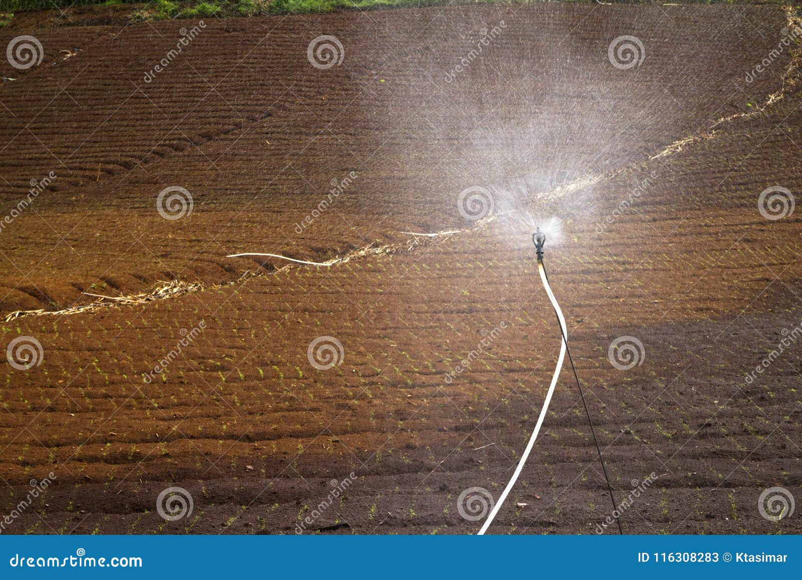 Sproeier Het Bidden Water Op Het Land Stock Afbeelding - Image of ...