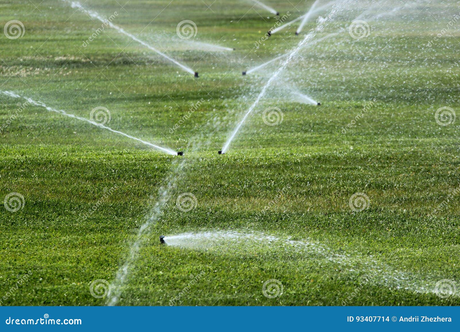 Sproeiers Op Een Groen Gazon Stock Foto - Image of landschap, tuin ...
