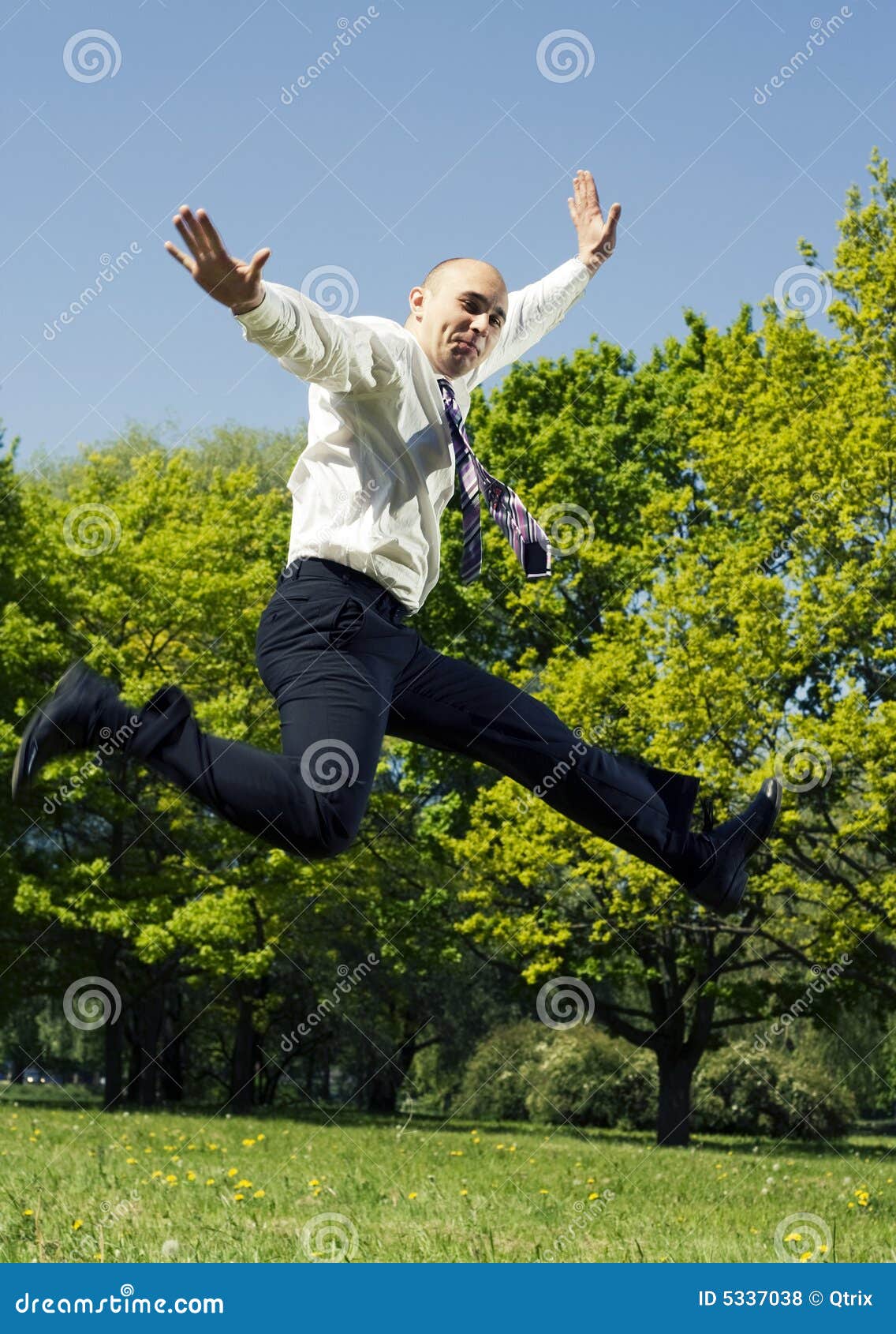 Sprong. Picture Image: 5337038