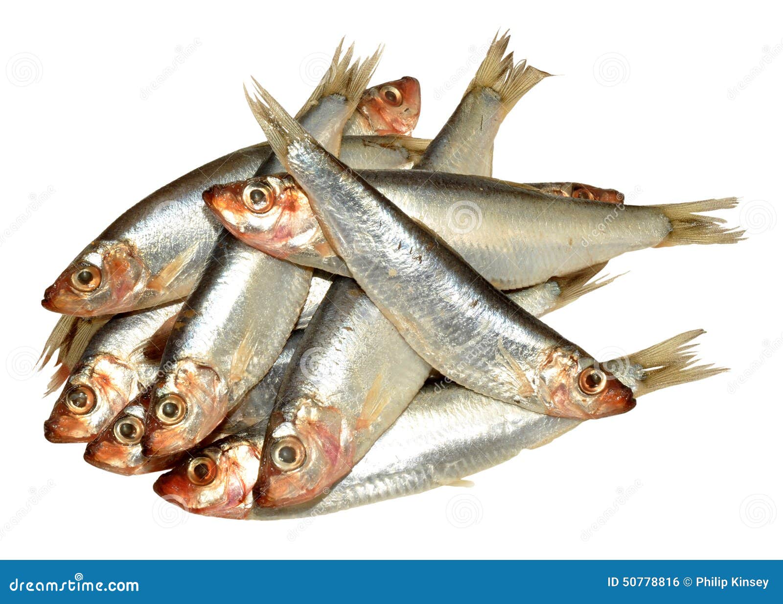 Sprotten Der Frischen Fische Stockfoto - Bild von diät, glänzend: 50778816