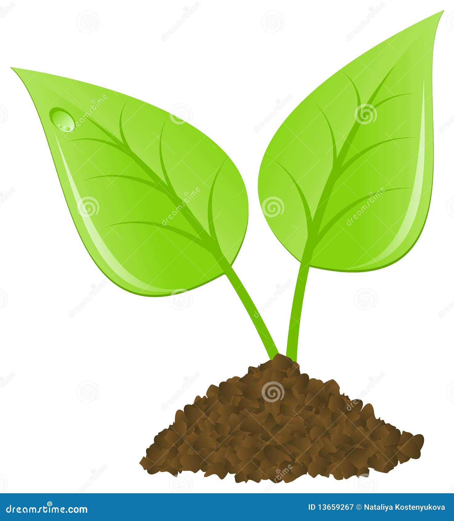 Sprout stock vector. Illustration of dirt, growth, beginnings - 13659267