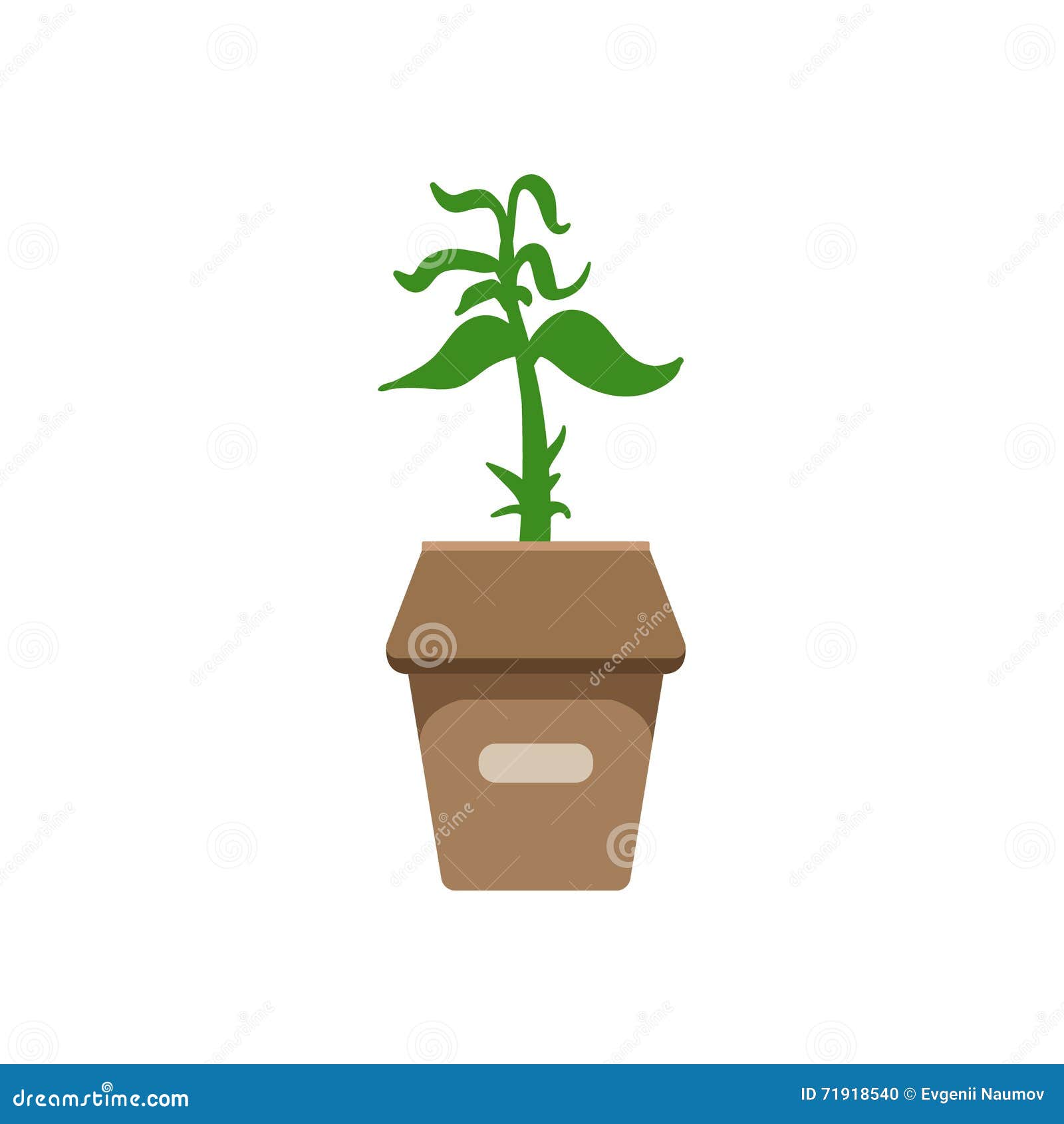 Sprout in a Box stock vector. Illustration of vector - 71918540