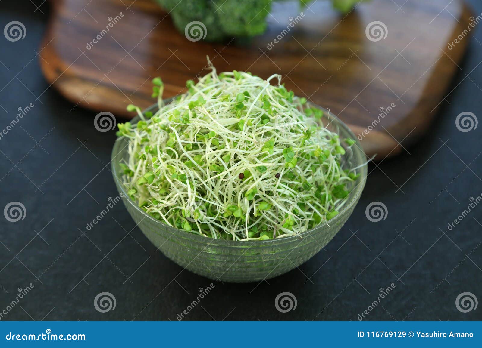Sprout of the broccoli stock image. Image of natural - 116769129