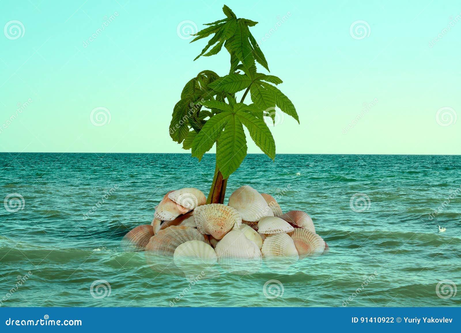 Sprout of Chestnut Tree is Like Palm Tree, Desert Island Stock Photo ...